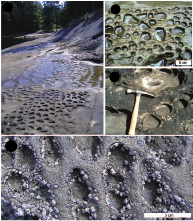 GC79FN2 Honeycombs at Watchet Harbour (Earthcache) in South West ...