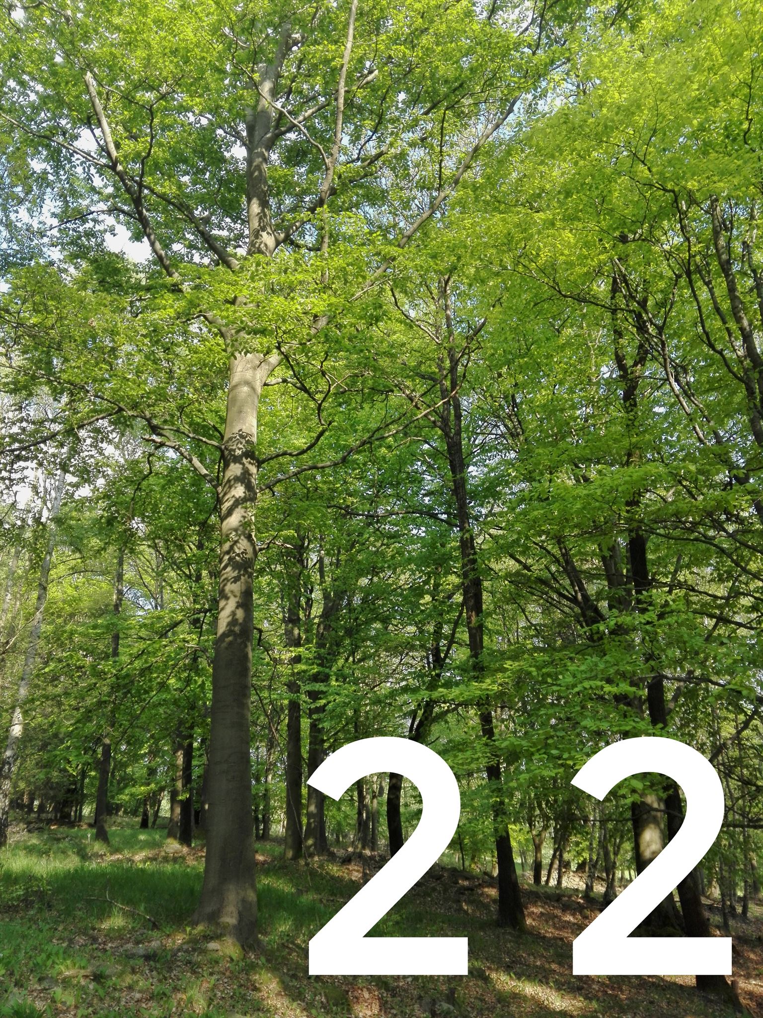 GC745NM SKY! 22 (Unknown Cache) in Ústecký kraj, Czechia created by brundi