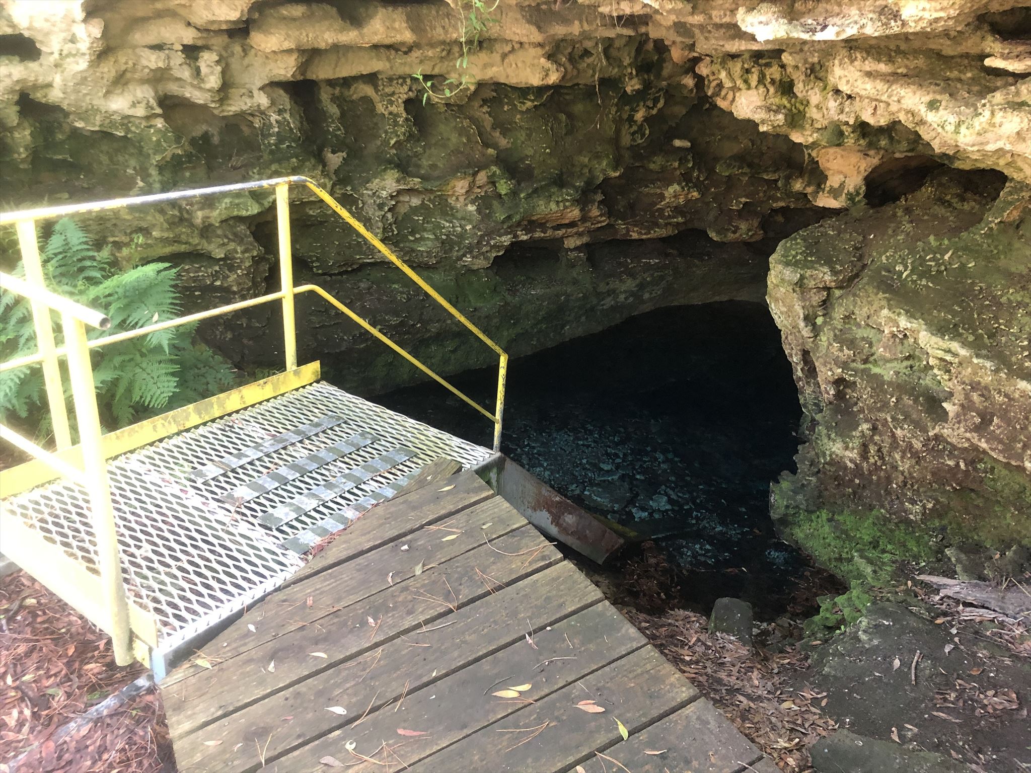 GC8825K CCS - Nettlebed Cave and Mud Hole (Traditional Cache) in South ...