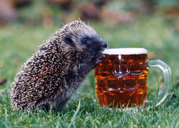 GC86T7R Tour de Beer IV (Event Cache) in Jihomoravský kraj, Czechia ...