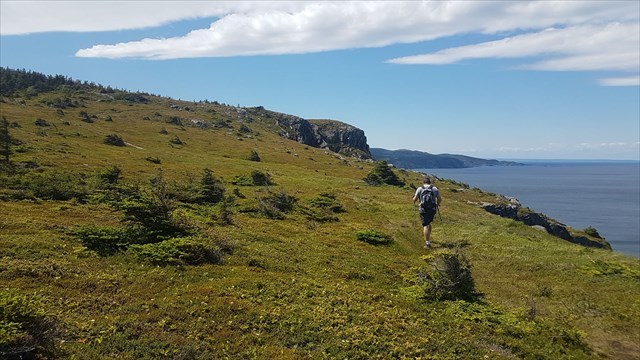 GC7T2HD Blackhead North Barrens (Traditional Cache) in Newfoundland and ...