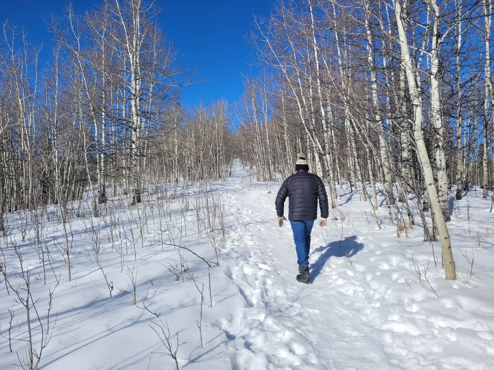 GCAKG4P Two Pines Summit (Traditional Cache) in Alberta, Canada created ...