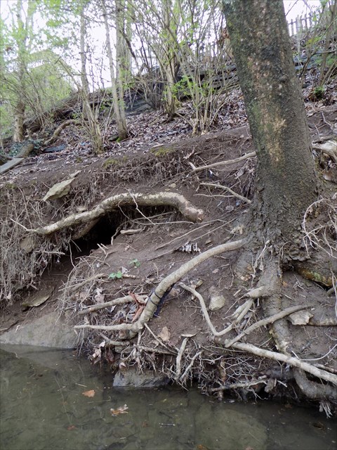 GC72VFJ Muskrat Den (Traditional Cache) in Kentucky, United States ...