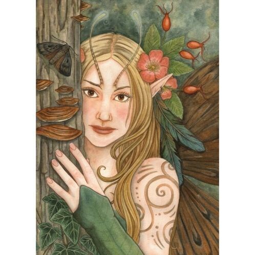 GCB65RW #4 Wood Nymph Woodlot? (2025) (Traditional Cache) in Prince ...