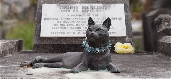 TIL about Mrs Chippy, a male cat that took part in Shackleton's Trans ...