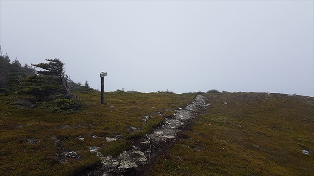 GC7T2HD Blackhead North Barrens (Traditional Cache) in Newfoundland and ...