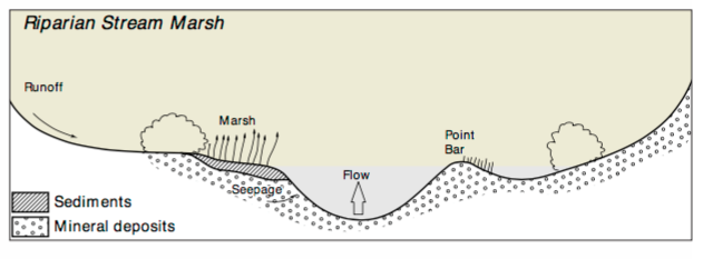 GC6PK9N Revitalizing the Grindstone Marsh Delta (Earthcache) in Ontario ...