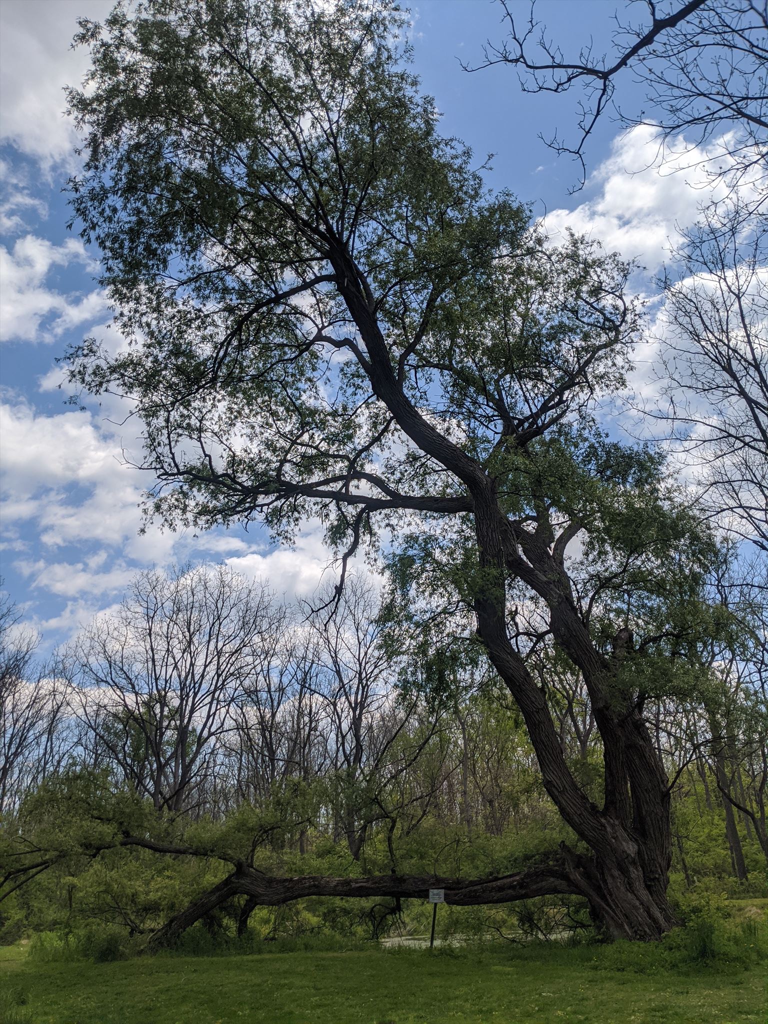 GC8QVVF GL 10 - Down By The Creek (Traditional Cache) in Pennsylvania ...