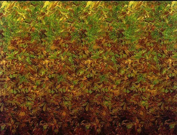 GCAP19V Mushroom Stereogram (Unknown Cache) in Michigan, United States ...