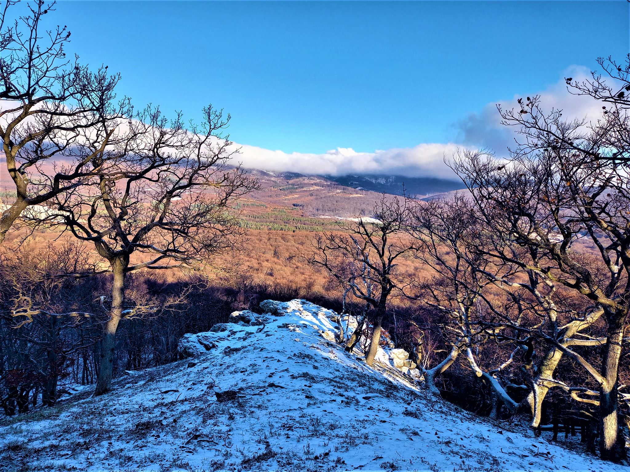 GC9N93Z Kopčeky Tribeča - Svinec (Traditional Cache) in Nitriansky kraj ...