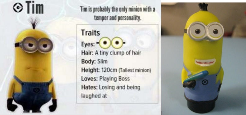 GC73335 Minion#8 - Tim (Traditional Cache) in Illinois, United States ...