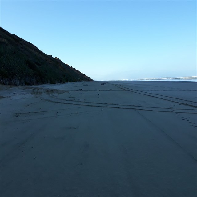 GC9EKNZ Camping out at Baylys beach (Northland) (Traditional Cache) in ...