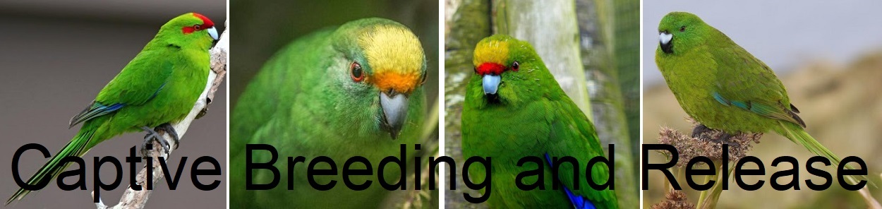 GC901A3 PWGT2 Captive Breeding and Release (Traditional Cache) in North ...