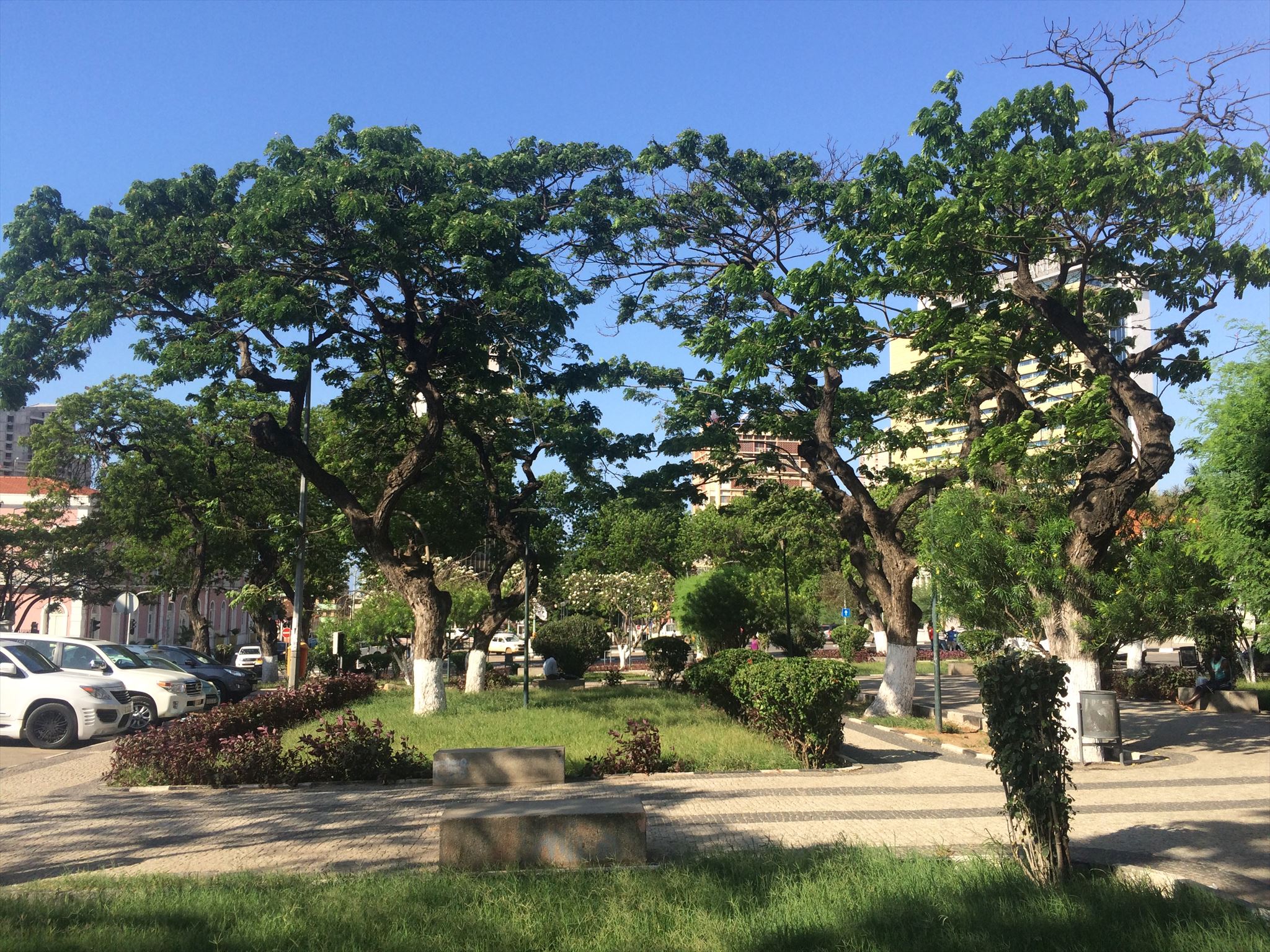 GC6XAP7 Heroes of Angola - Irene Cohen (square) (Traditional Cache) in ...