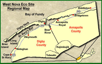 GC8WKV8 Digby Neck Tomsonite (Earthcache) in Nova Scotia, Canada ...