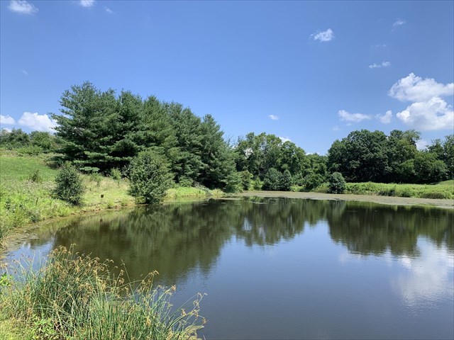 GC9HRF1 WVCW 3: This Is Not About Donald Horatio of NCIS! (Unknown ...