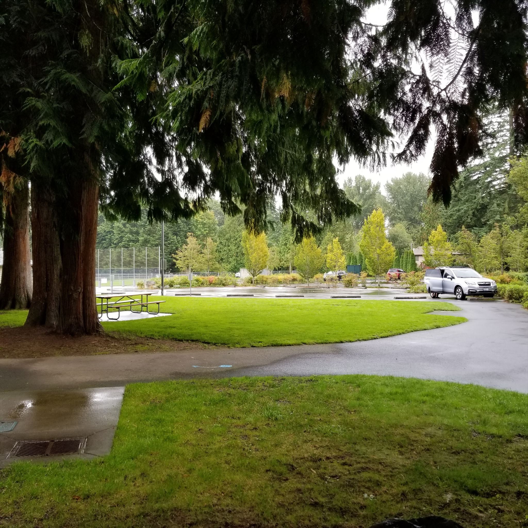 GC8DZD7 Multicache Madness #3 - Cedar Grove Park (Multi-cache) in ...