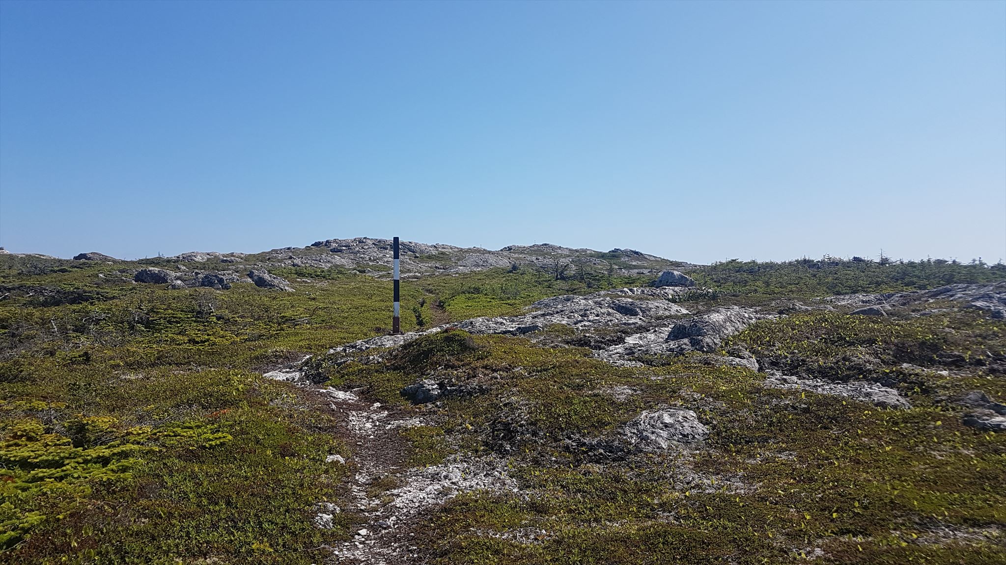 GC8BY4Q White Horse Elevation 4: "Bell" of the Ball (Traditional Cache ...