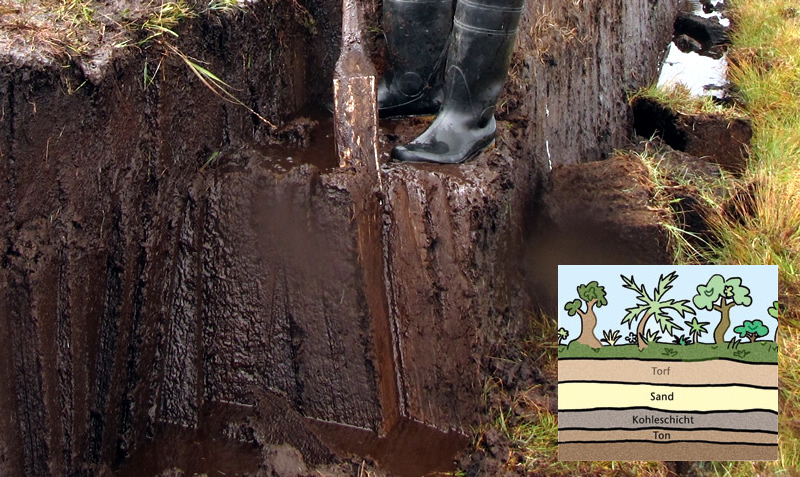 GC6ERBY Torfkuhle & Katzenbuckel (Earthcache) in Nordrhein-Westfalen, Germany created by Team N51E06