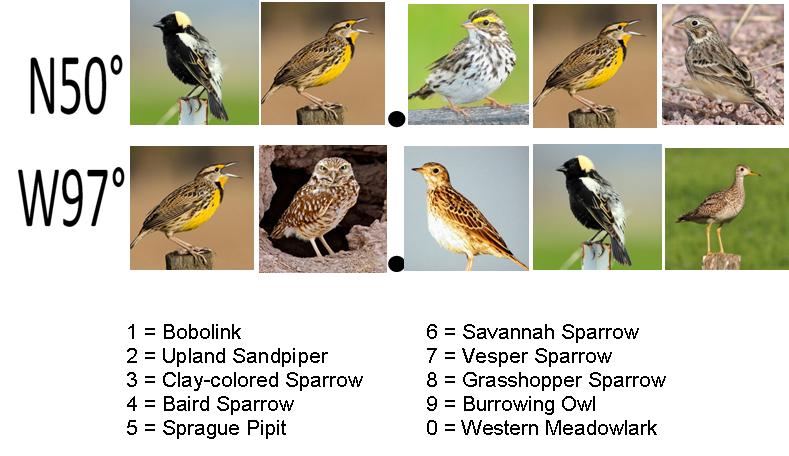 GC6RXH6 Prairie Birds (Unknown Cache) in Manitoba, Canada created by OHMIC