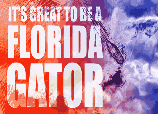 GC7X2VK AR_Go Gators (Unknown Cache) in Florida, United States created ...