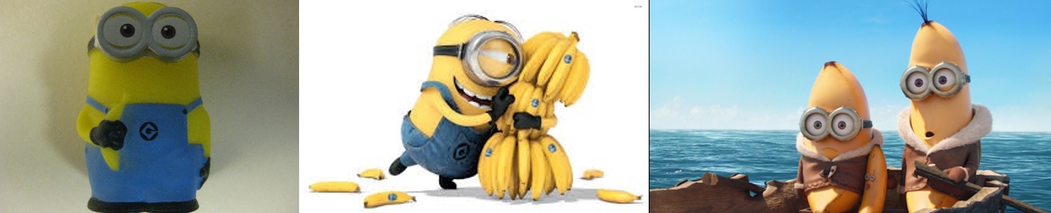 GC732ZN Minion#3 - Banana (Traditional Cache) in Illinois, United ...