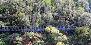 GC6P0F2 Purdon to Highway 49 Flume (Traditional Cache) in California ...