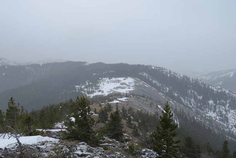 GC70QAE South Highwood Ridge Summit (Traditional Cache) in Alberta ...
