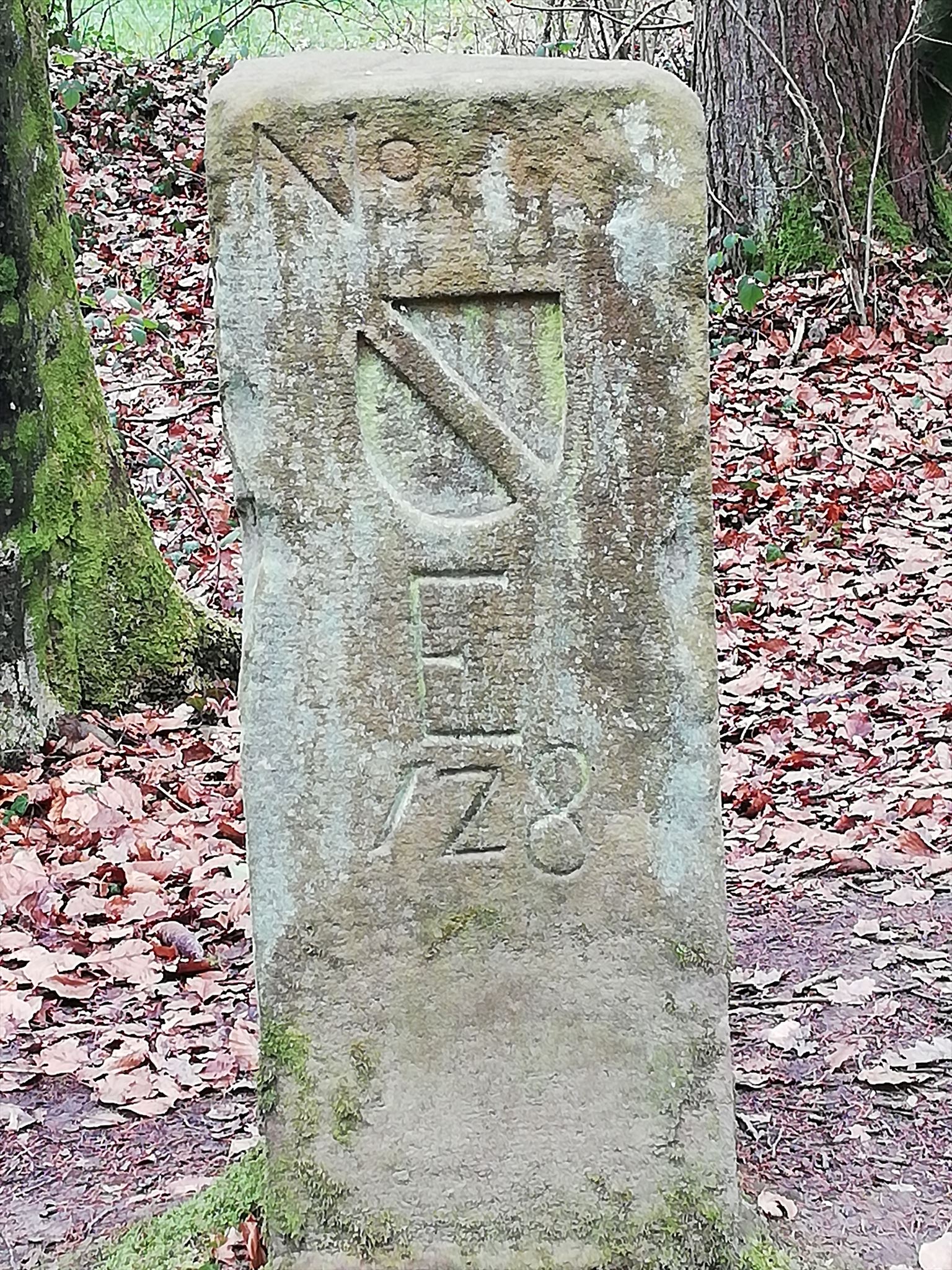 GC8HYEN #3 - Stadtwaldrunde - Gebrannte Eiche (Traditional Cache) in ...