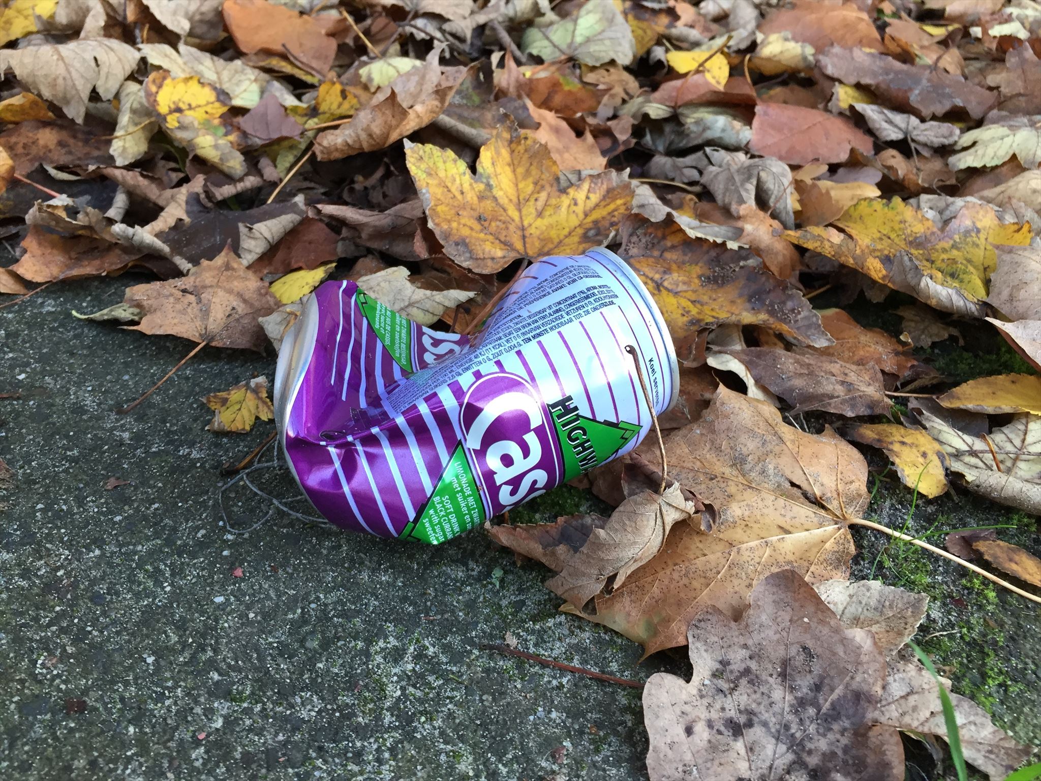 GC8FNCE Trash Cache (Traditional Cache) in Utrecht, Netherlands created ...