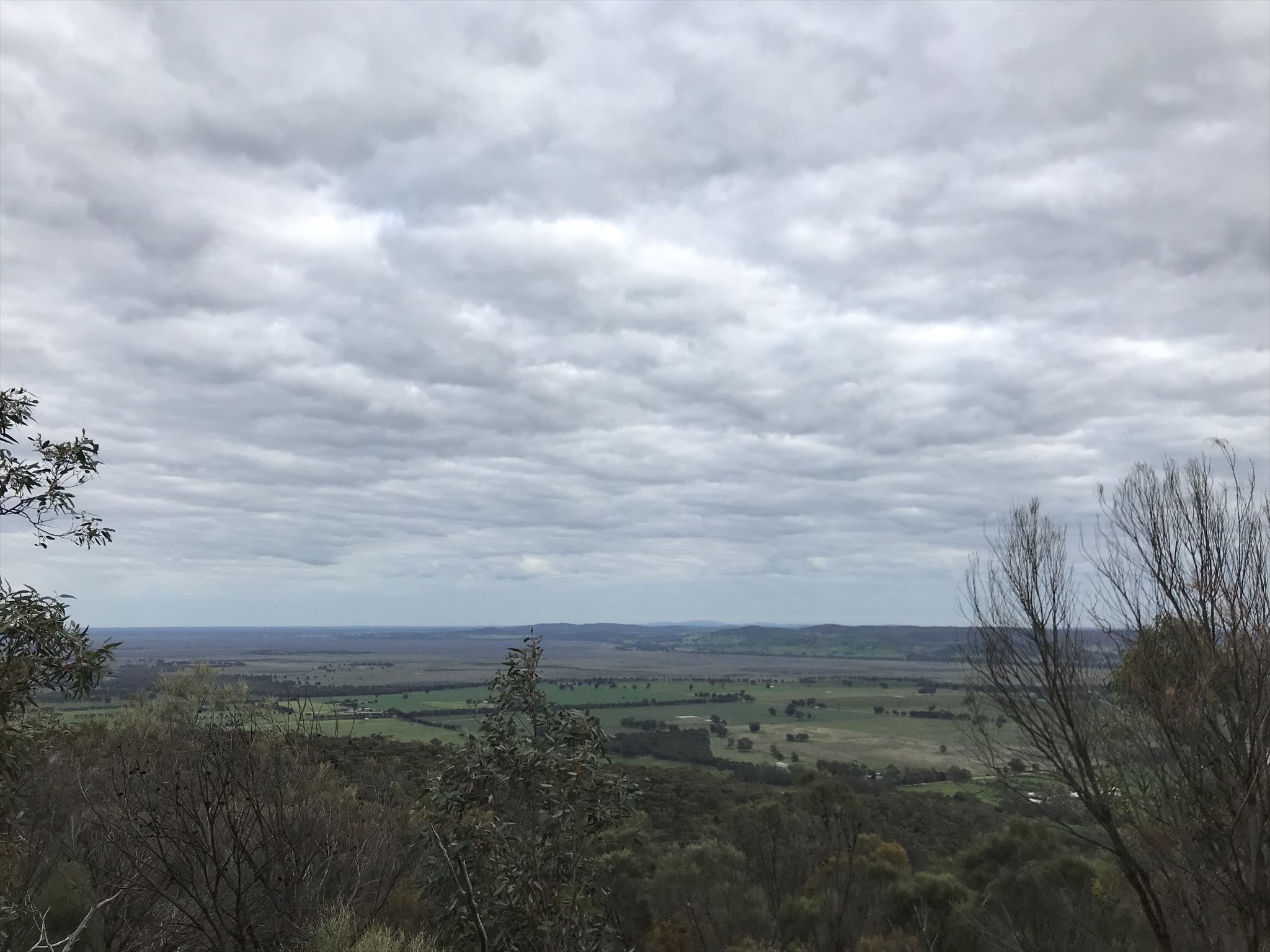 GC8VAGJ Bluff Track Views (Traditional Cache) in Victoria, Australia ...