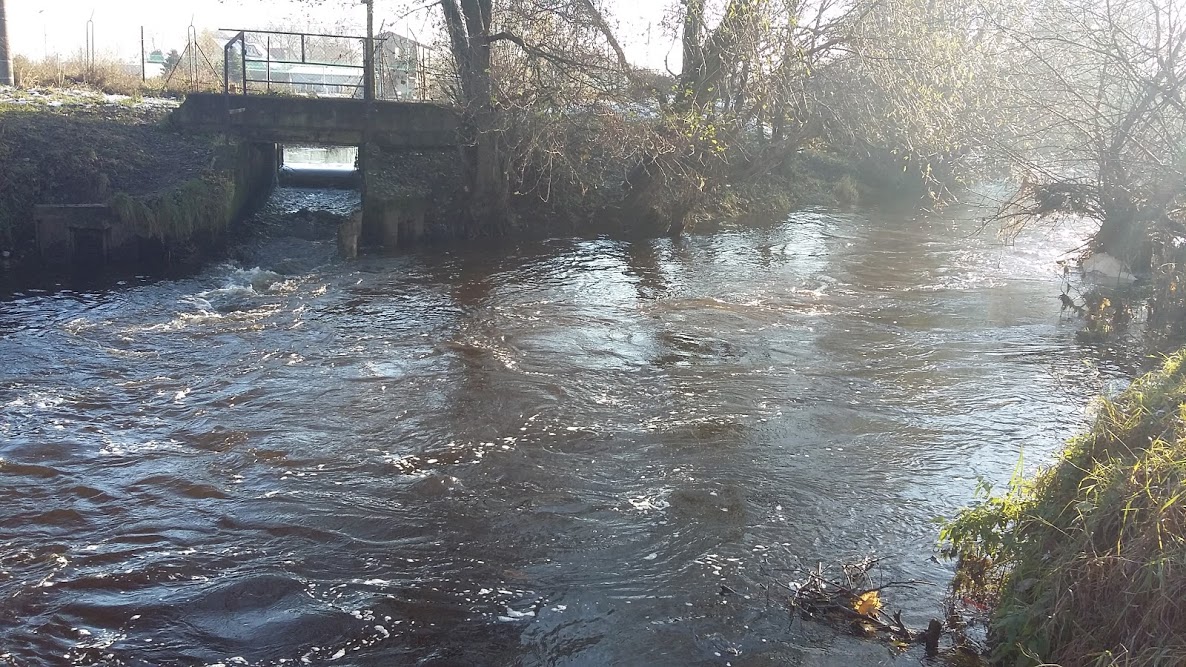 GC6X5FD Stawy rybne / fish farm (Traditional Cache) in Pomorskie ...