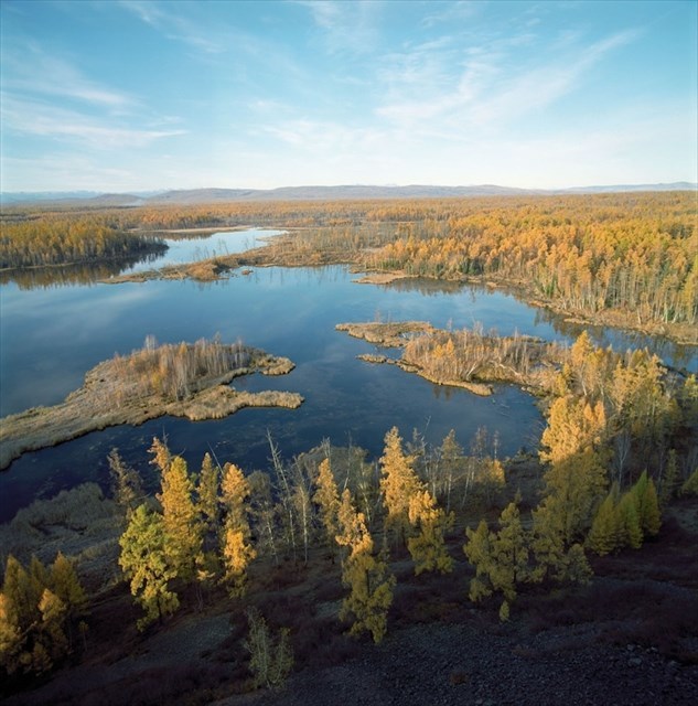 GC7Z99E Sibirska tajga (Multi-cache) in Moravskoslezský kraj, Czechia ...