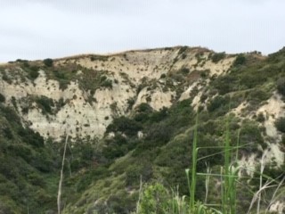 GC87P6E Christianitos South Trail - Capistrano Formation (Earthcache ...