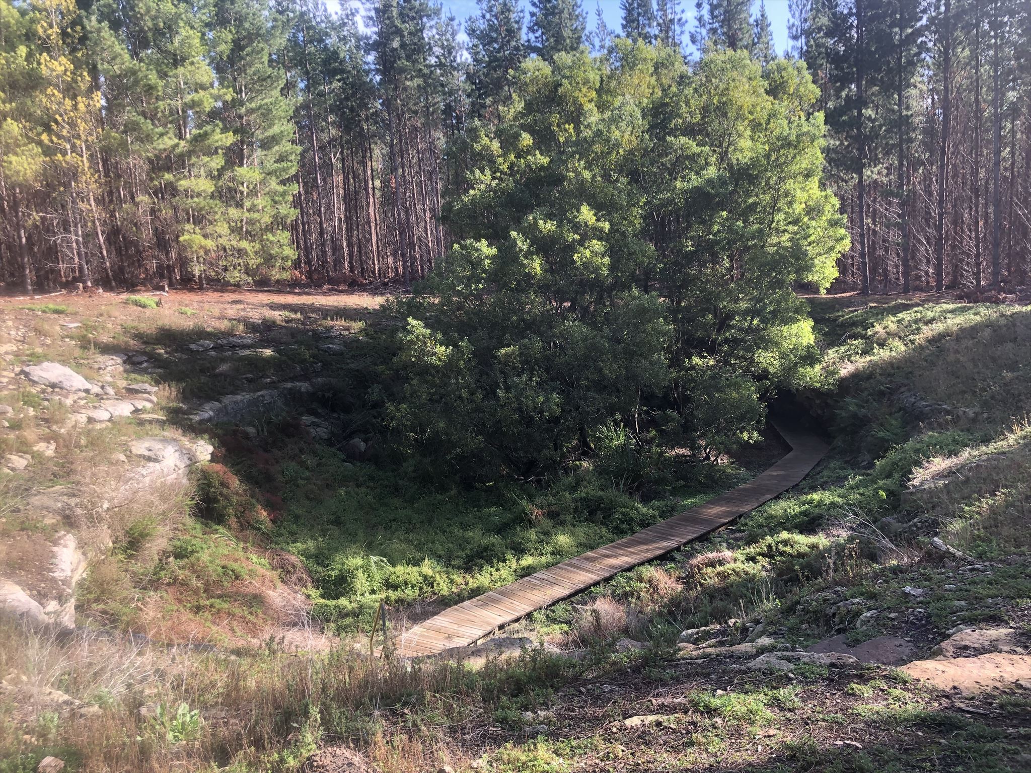 GC8825K CCS - Nettlebed Cave and Mud Hole (Traditional Cache) in South ...