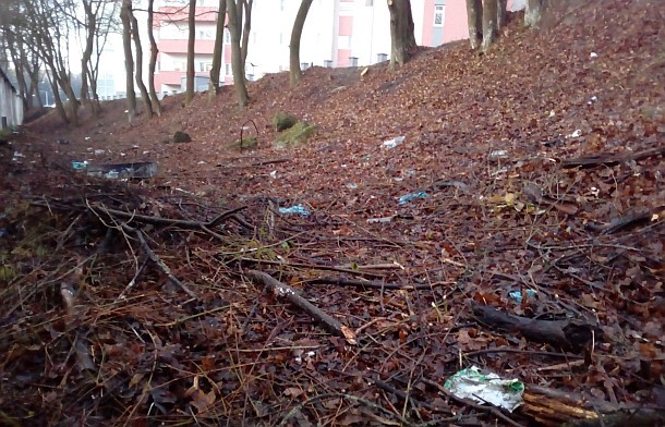 GC8H1JV Púchovské novoročné CITO (Cache In Trash Out Event) in ...