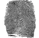 GC64VVW Fingerprints (Unknown Cache) in Minnesota, United States ...