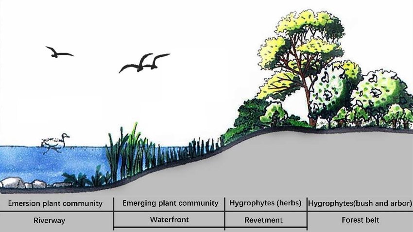 GC9WVHM The Living Shoreline (Earthcache) in Florida, United States ...
