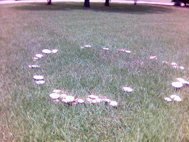 Fairy Ring - General geocaching topics - Geocaching Forums