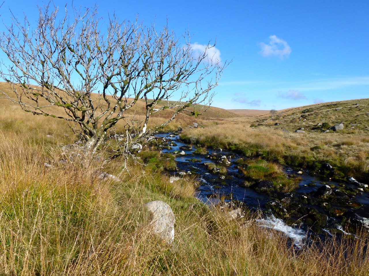 GC6VXKY Upper Erme (Traditional Cache) in South West England, United ...