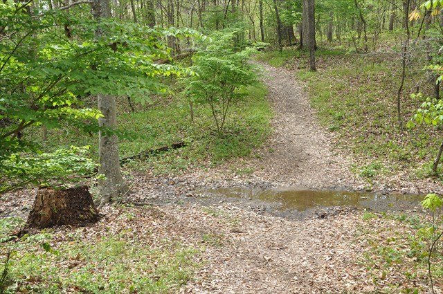 GC8PREY Campground Escape - North Boone Trace Trail (Traditional Cache ...