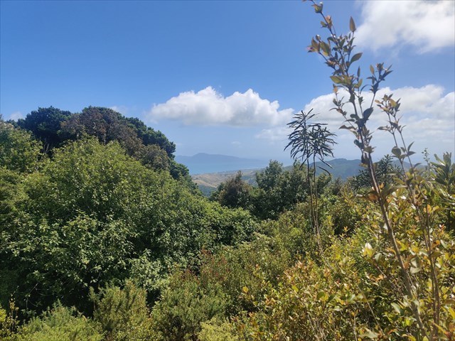 GCAKFCB Isle of View...forever (Traditional Cache) in North Island, New ...