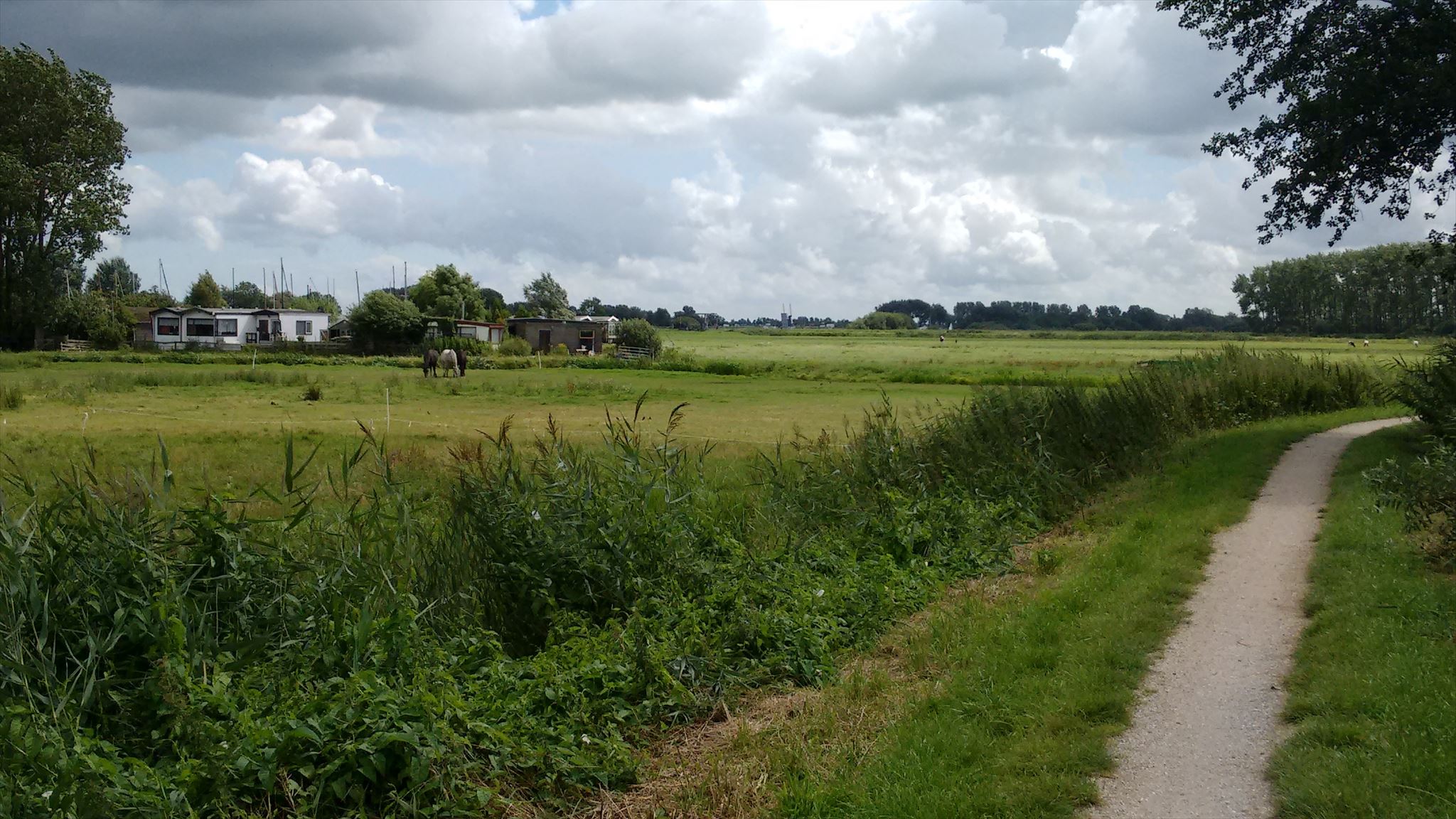 GC745EP Slachtedijk Terherne tot Goingarijp (Traditional Cache) in ...