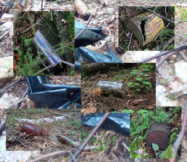 GC8CBEM ODPAD V LESE *5* (Traditional Cache) in Jihočeský kraj, Czechia created by josefvv