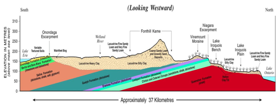 GC81N98 A Rare Find- Fossils in Queenston Shale (Earthcache) in Ontario ...