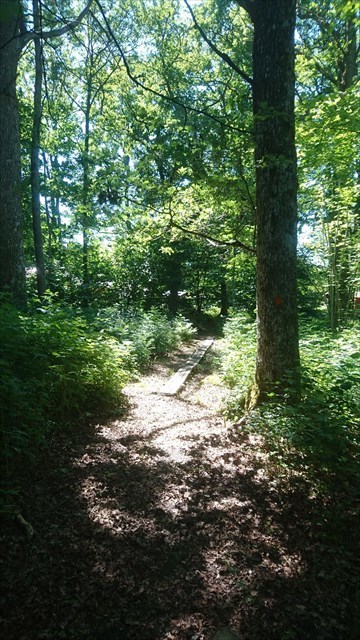 GC7T1E2 Stigen: Tunhemsstigen (Traditional Cache) in Västra Götaland ...
