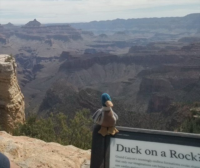 GCA94Q5 South Dakota Ducks: Soviet Duck! (Traditional Cache) in South ...