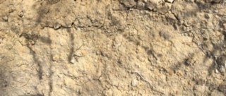 GC87P6E Christianitos South Trail - Capistrano Formation (Earthcache ...