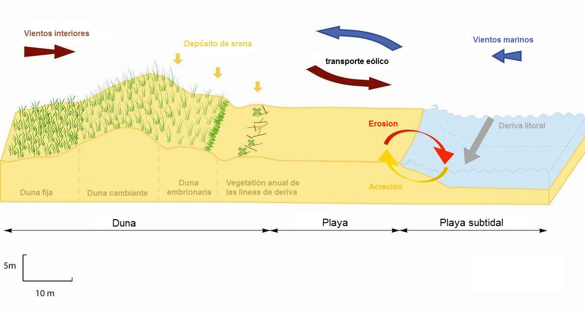 GC70NDA Dunas de Corralejo (Earthcache) in Islas Canarias, Spain ...