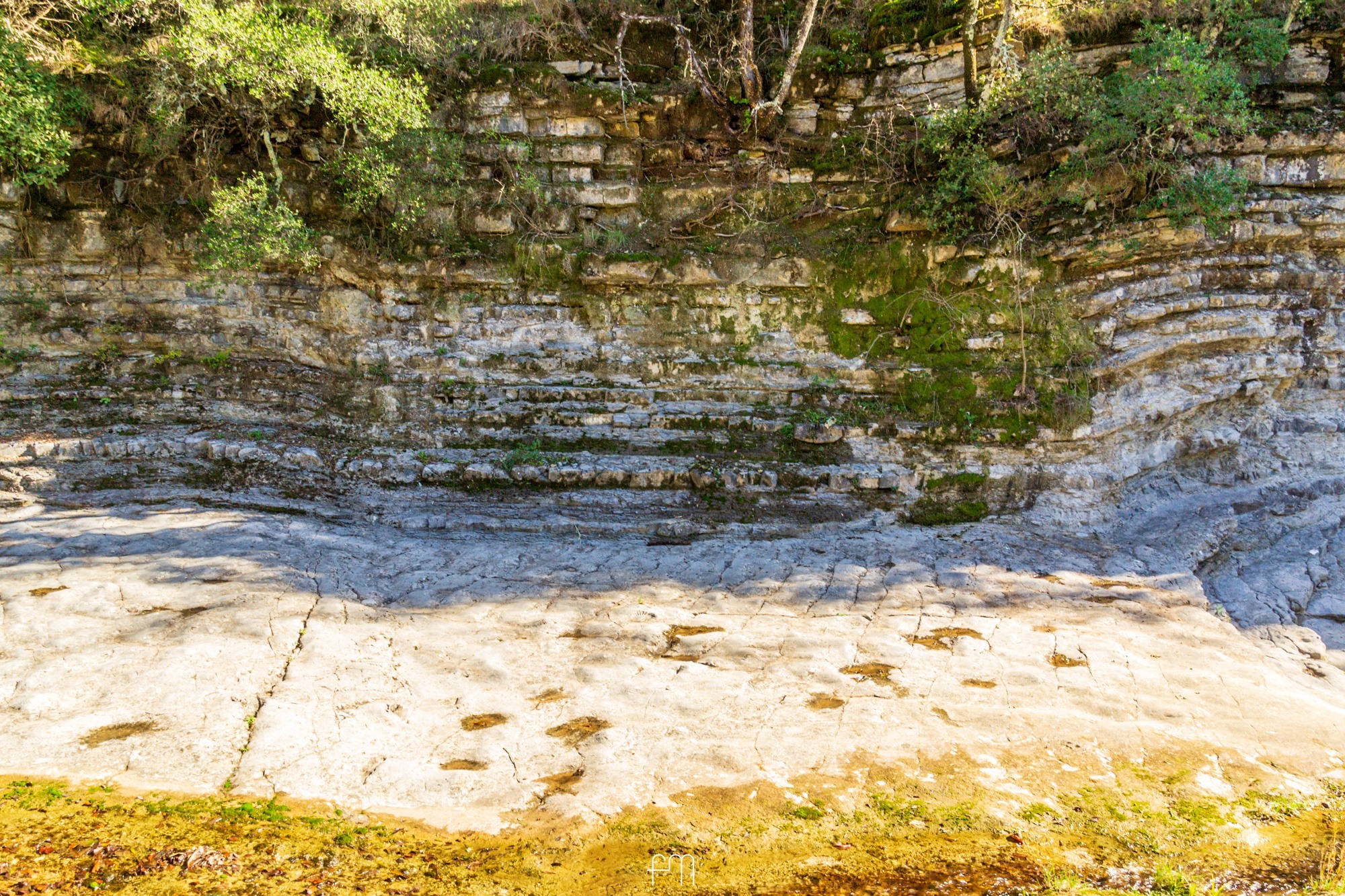GCA9EHA Les strates de la dalle aux fossiles de Fressac (Earthcache) in ...
